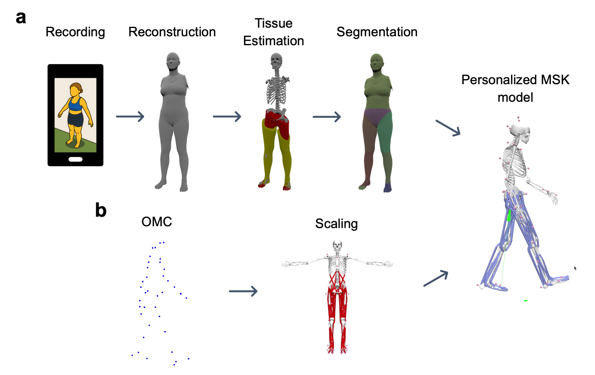SIPP - Shape-based Inertial Parameter Personalization